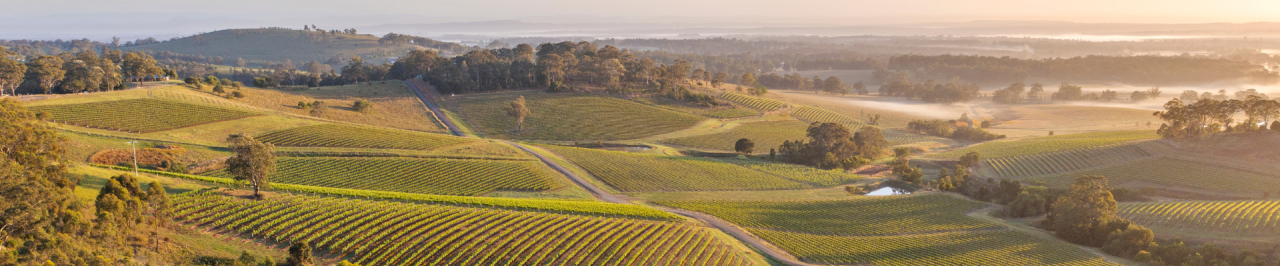 Hunter Valley Wine Country - THE GRAPEVINE BLOG - What's new in the ...