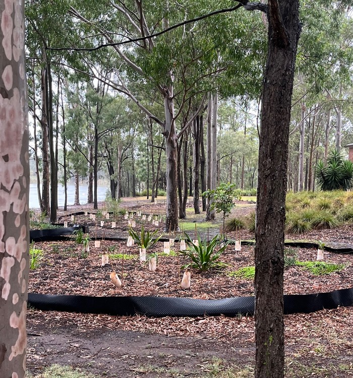 Bush Tucker Garden Walk & Native Plant Propagation Workshop, Thu, Apr ...
