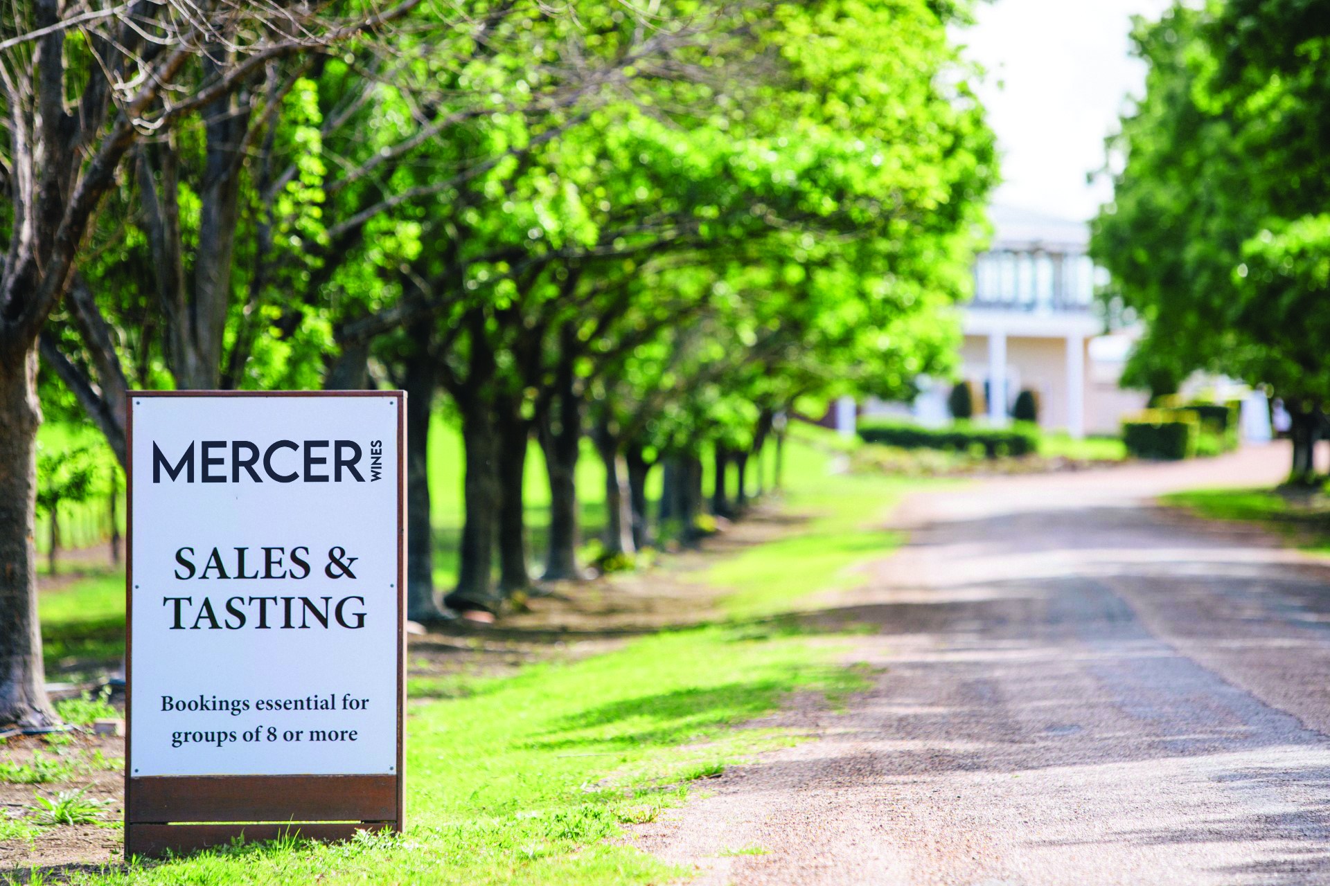 Sip & Shuck - Oysters and Wine at Mercer Wines, Saturday, 5th October ...