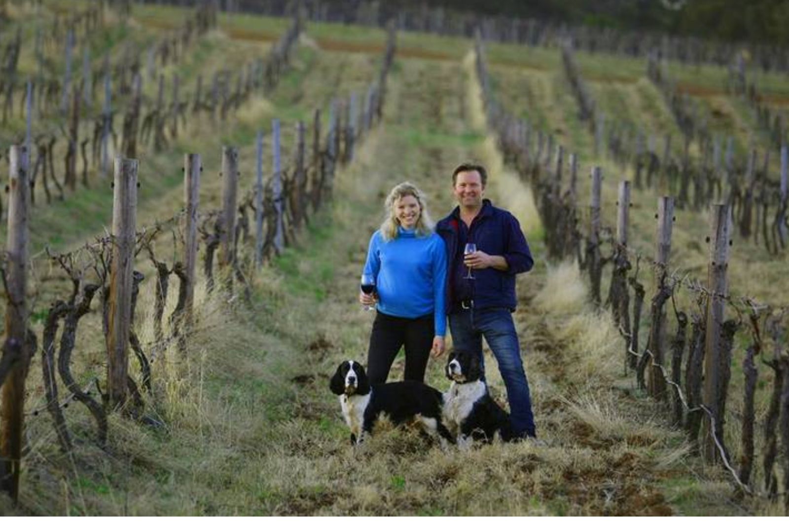 Hunter Valley Wine Country - Elbourne Wines | Hunter Valley