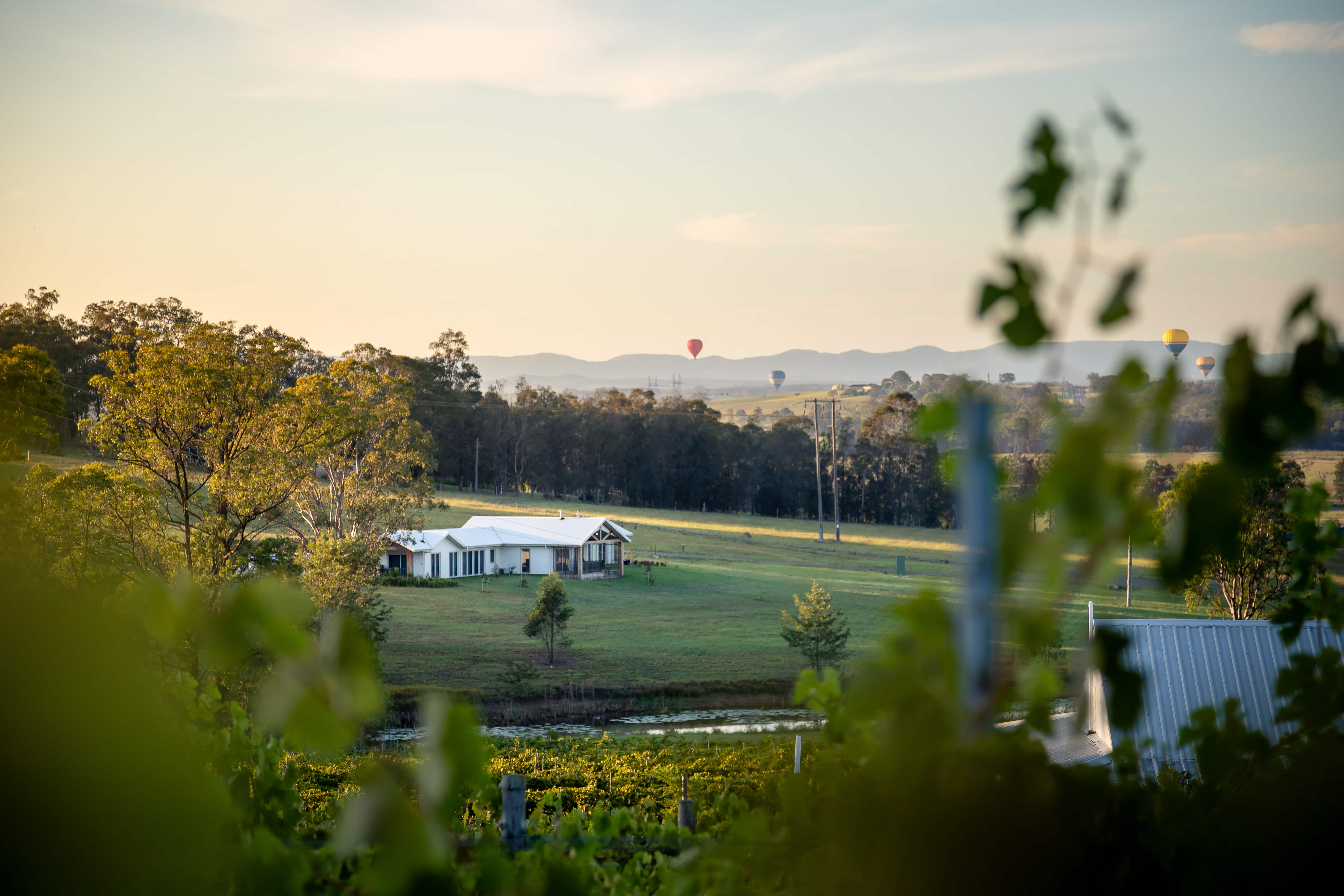 Hunter Valley Wine Country - Molly Morgan Wines