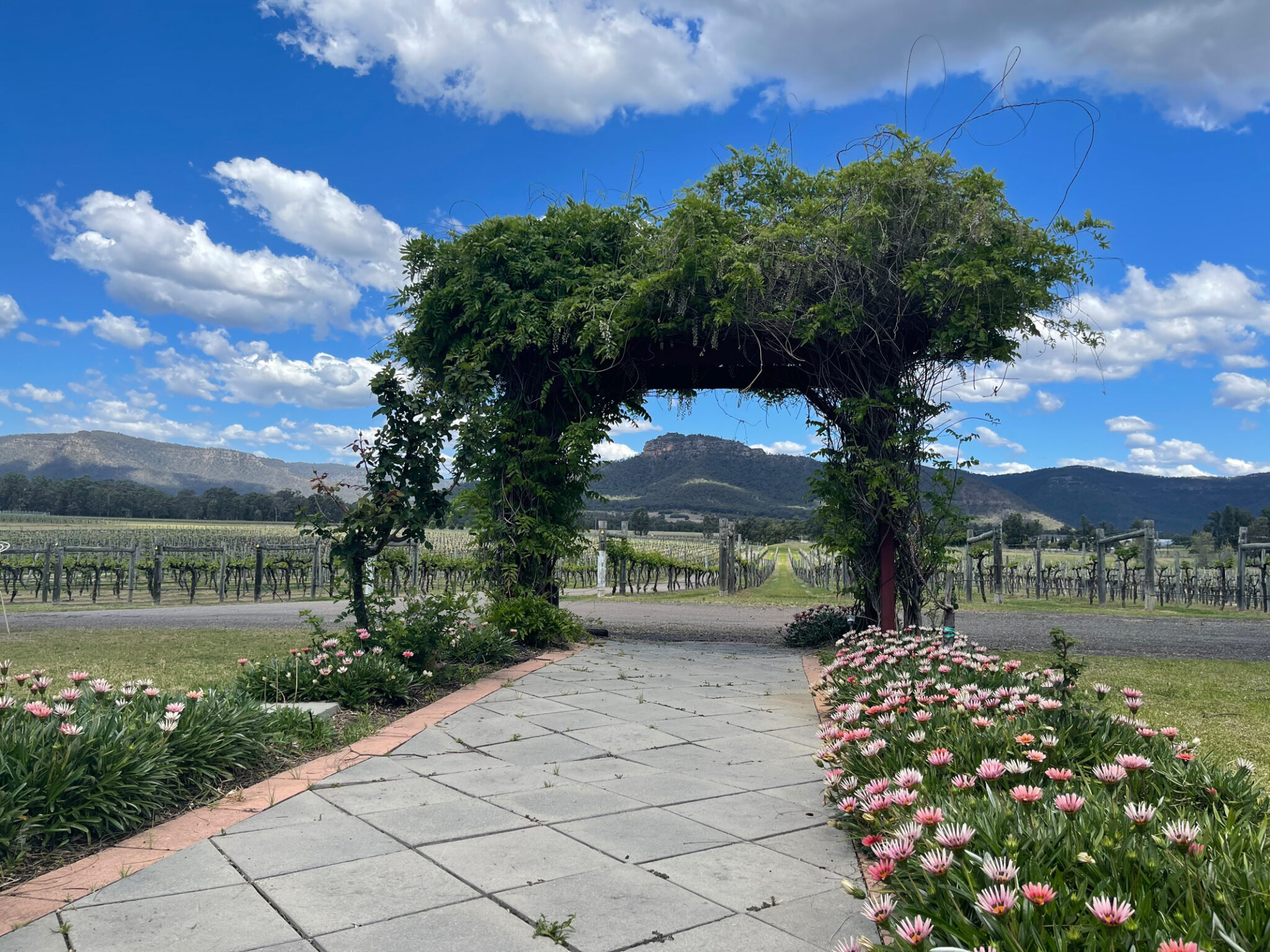 Hunter Valley Wine Country - Nightingale Wines