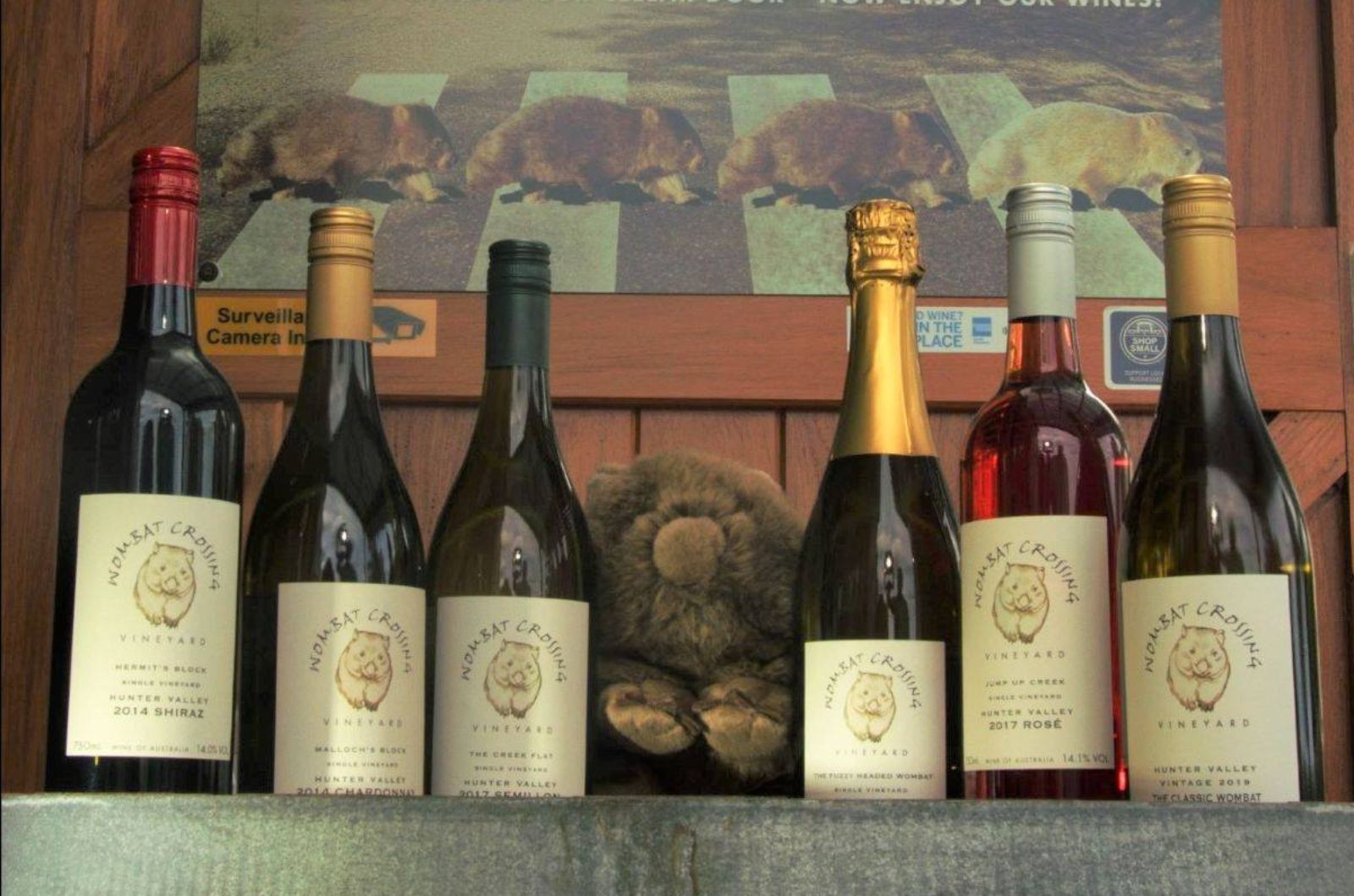 Hunter Valley Wine Country - Wombat Crossing Vineyard